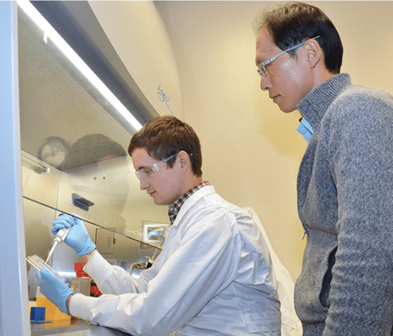 New Concentration in Biomedical Engineering - William States Lee ...