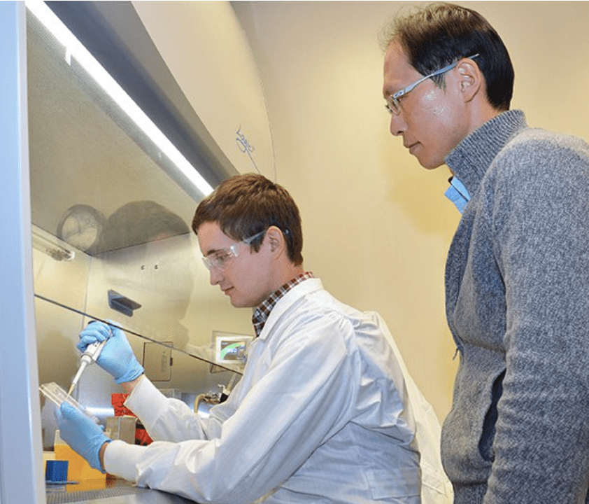 New Concentration in Biomedical Engineering - William States Lee ...